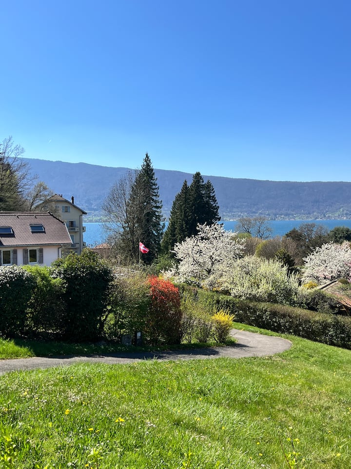 150 M Lac, Maison Individuelle - Lac d'Annecy