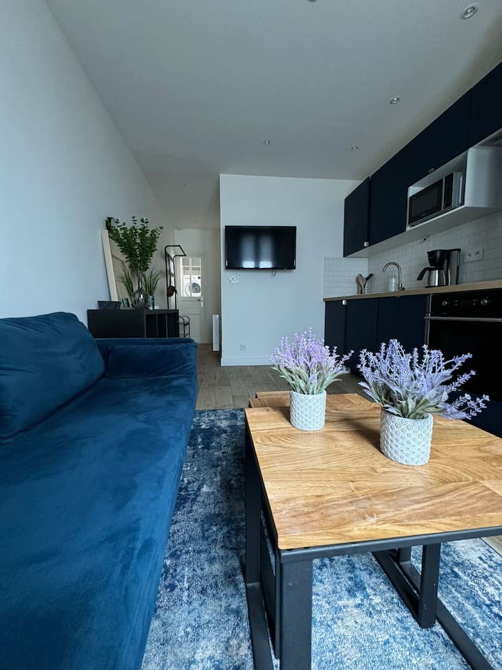 Havre De Paix Chic Au Pied Du Parc Et Métro - Charenton-le-Pont