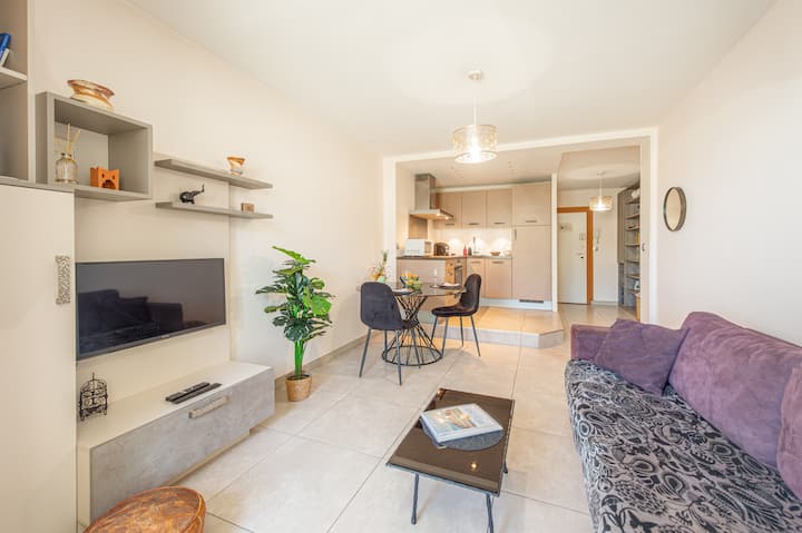 "Le Sésam" Centre Ville, Loggia Et Lumière - Annecy