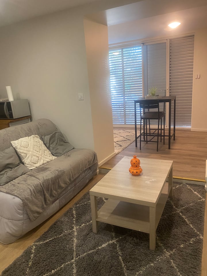 Appartement Macon Proche Gare Avec Cours-terrasse - Mâcon