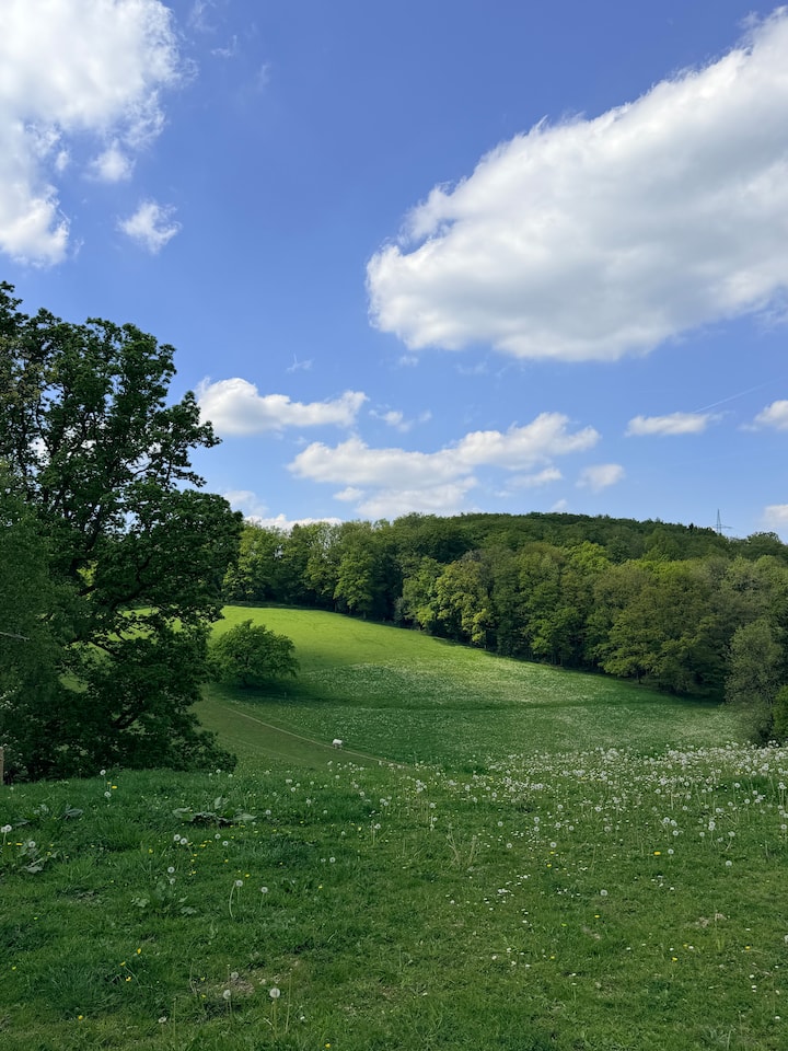 Bauernhof-idyll Mit Pferden – Natur Im Sauerland - Meinerzhagen