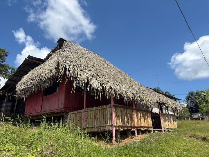 The Jungle House - Orellana