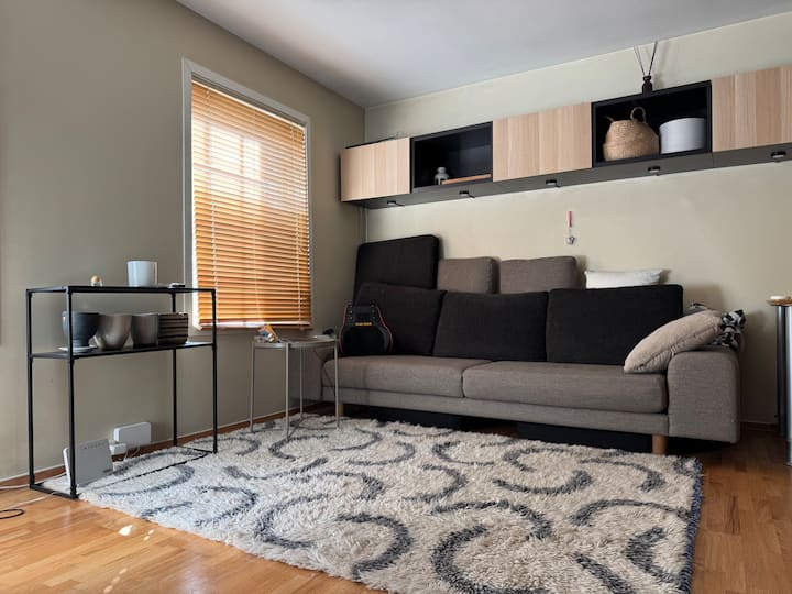 Cozy And Central Apartment - Trondheim