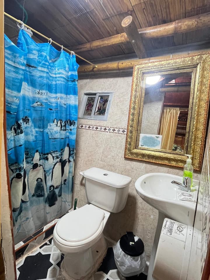 Suite Colibrí - Cajamarca