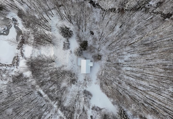 Peaceful Woods At The Johnson Cottage - Windham, NY
