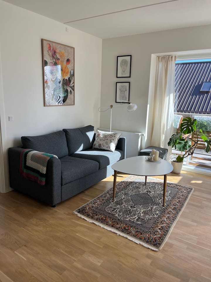 Hyggelig 2-værelses - Odense