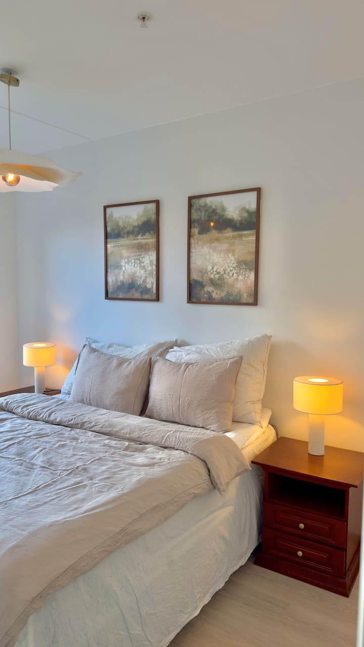 2 Roms Leilighet, Med Sovesofa - Oslo