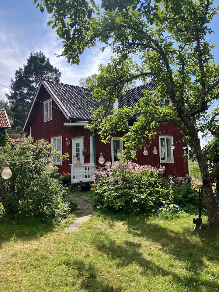 Violas Trädgård Norrtälje - Norrtälje