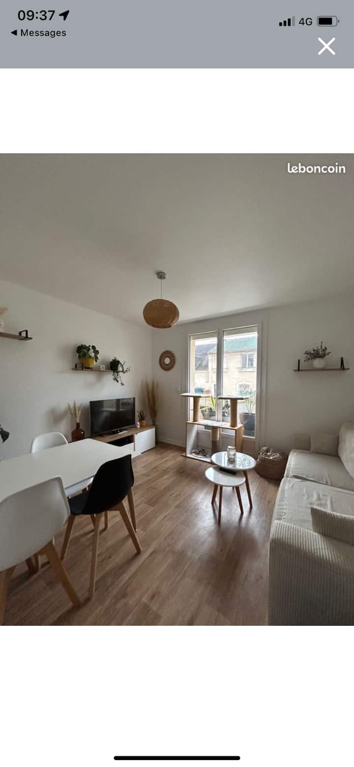 Appartement - Le Mans