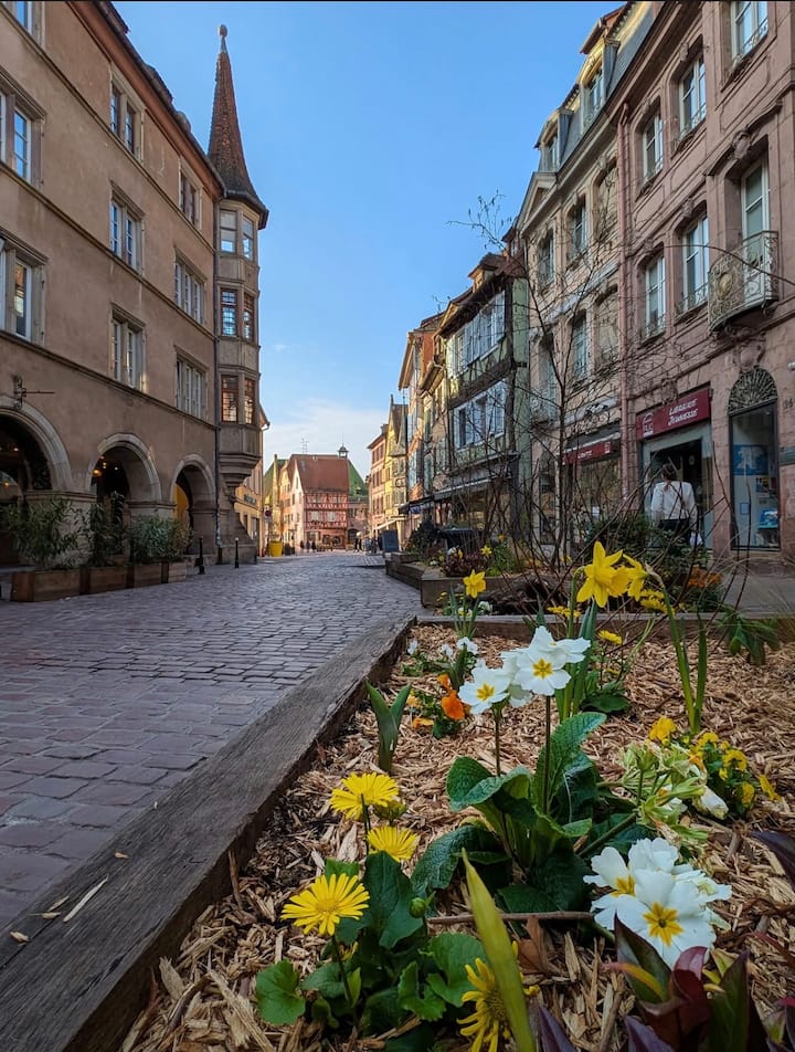 Charme & Calme - Colmar