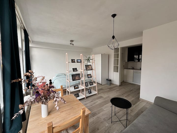 Cosy Studio In The Heart Of Bxl - Anderlecht