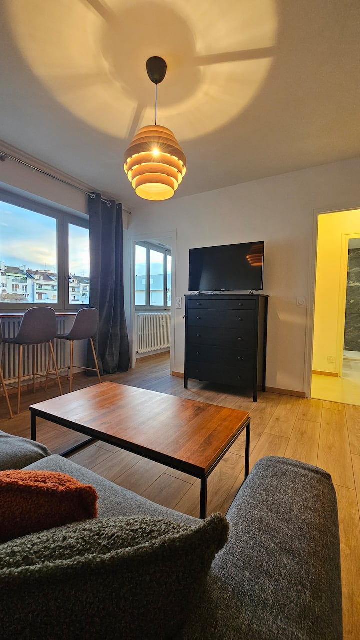 Charmant Appartement Annemasse Gare - Annemasse