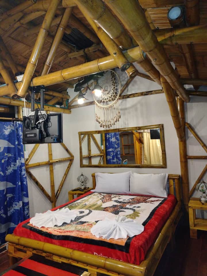 Suite Guacamaya - Cajamarca