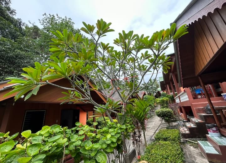 Koh Tao Sv Bungalow Fan - Ko Tao