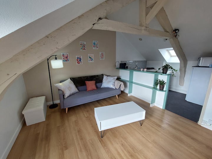 Appartement Cosy Tout Confort à Montfort-sur-meu - Le Château du Pin