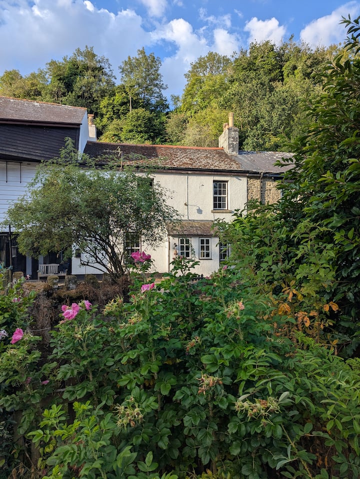 Riverside Cottage - Chagford