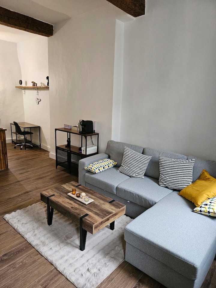 Calme Et Cosy, Refait à Neuf ! - ibis Montpellier Centre Polygone