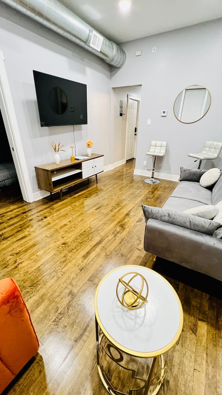 Modern Pilsen Chicago Apartment - Chicago