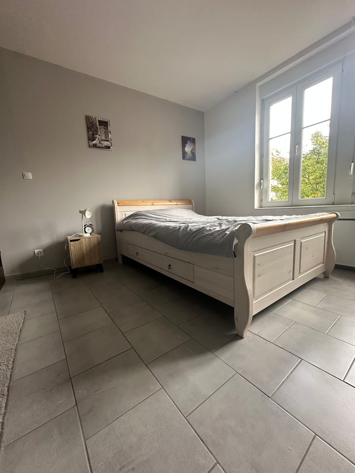 Appartement Mulhouse - Mulhouse