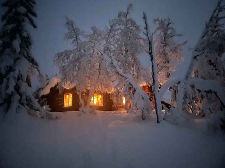 Arkitekttegnet 980moh - Avslappende & Barnevennlig - Norwegen