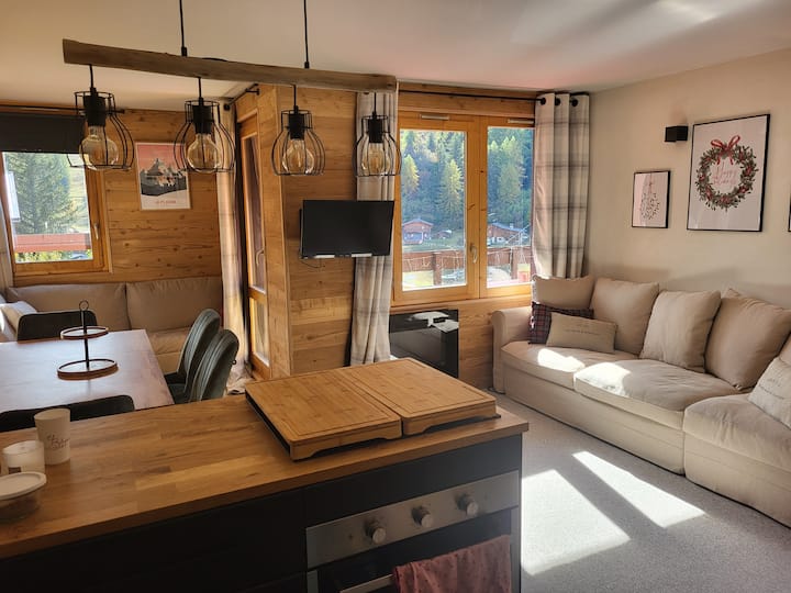 ÉLégant & Chaleureux.parking Privé.dimanche Au Dim - Aime