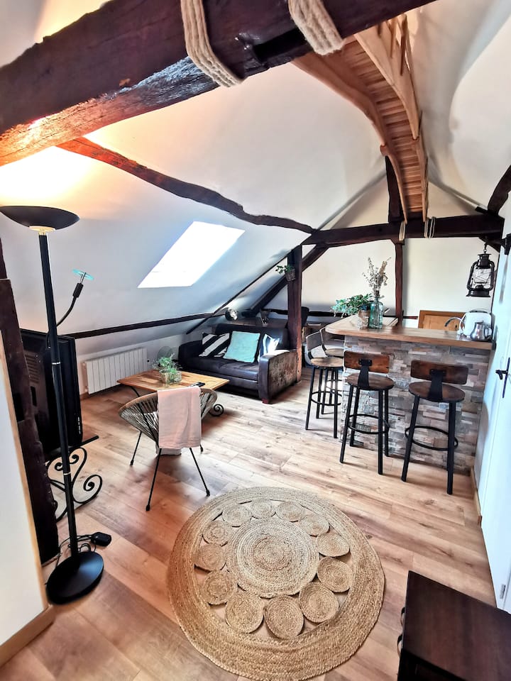 2 Pièces Sous Les Toits - Tours