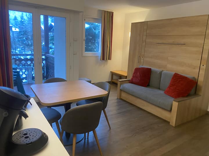 Studio Centre-ville - Chamonix-Mont-Blanc