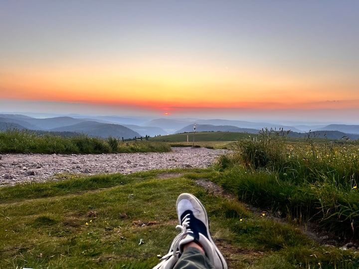 Gîte Le Haut Des Chants - Espace Vert Clôturé - Gérardmer