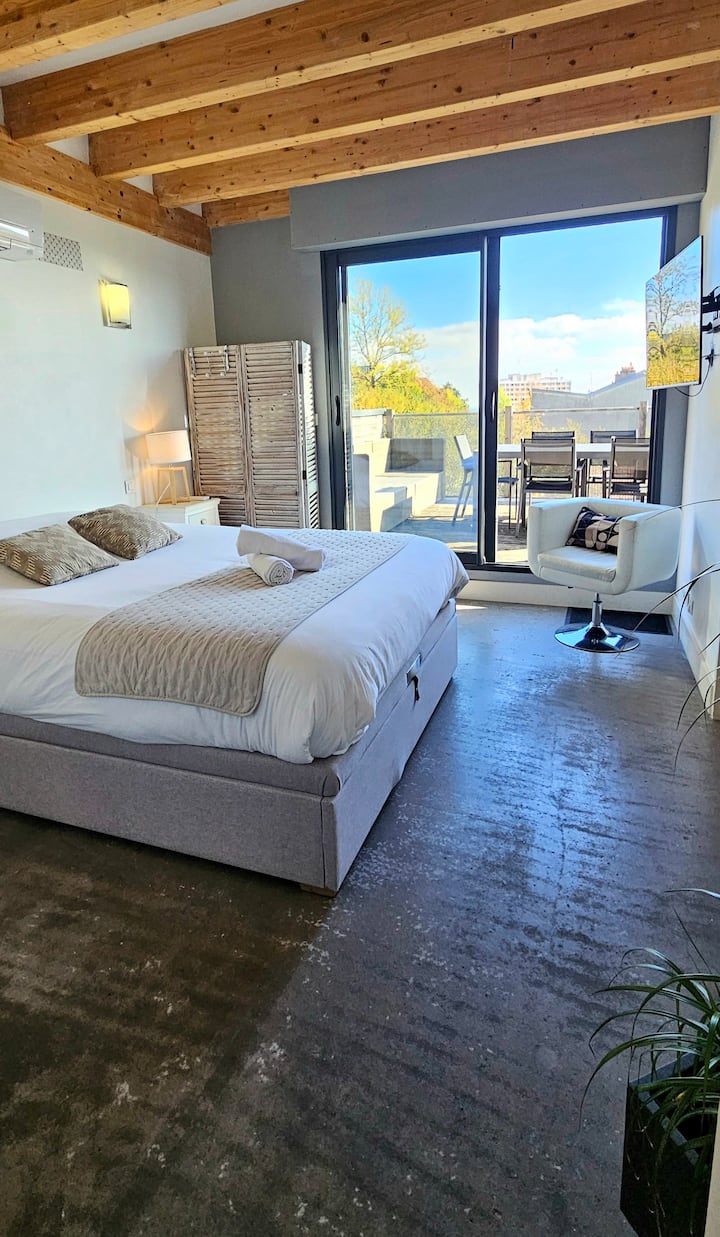 La Terrasse Du Belvédère-3 Chambres-parking-nancy - Nancy