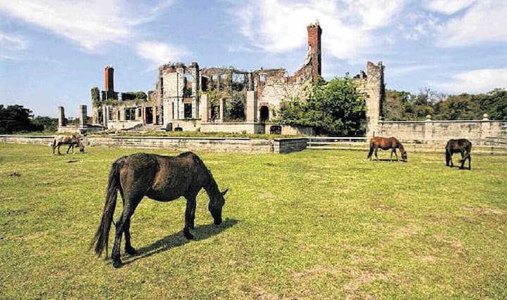 3 Miles I-95,cumberland Beaches Kings Bay - Kingsland, GA