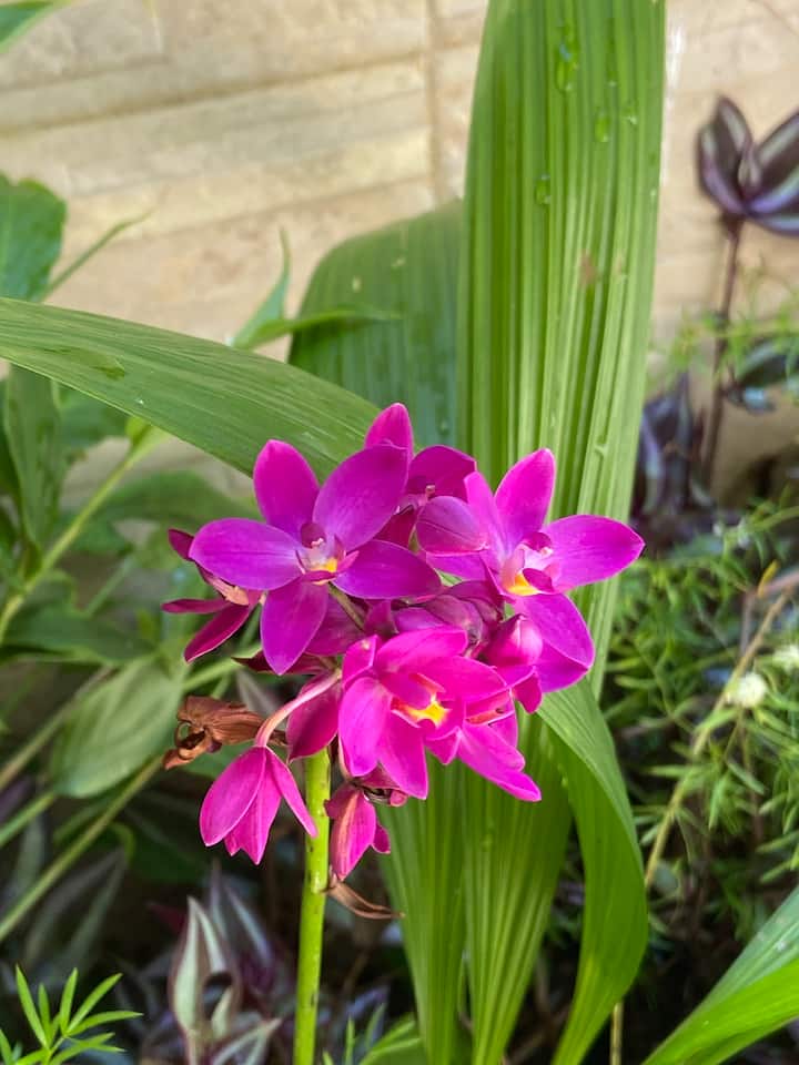 Quarto E Sala, Completo Aconchegante, Atalaia Aju - Aracaju
