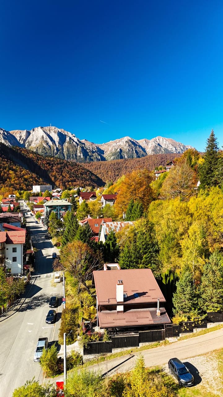 Luxury Chalet Azuga - Predeal