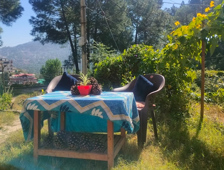 Angelic Accomodations - Solan