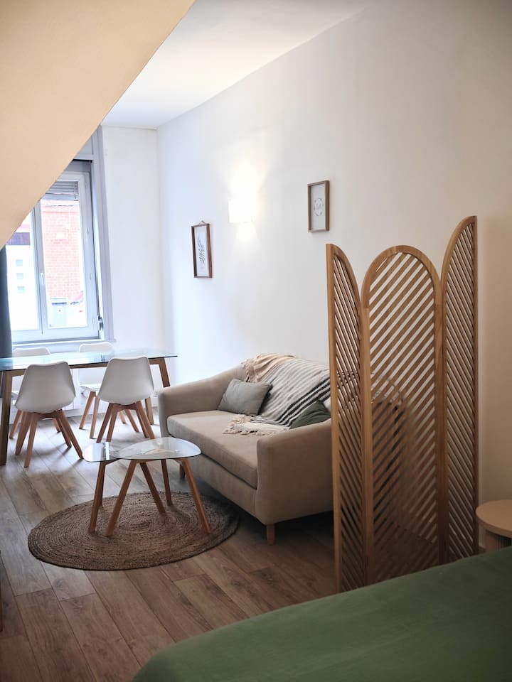 Elégant Studio Tourcoing - Mouscron