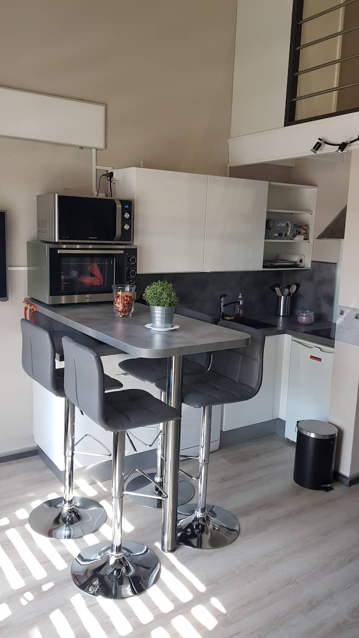 Studio La Palmyre - La Palmyre