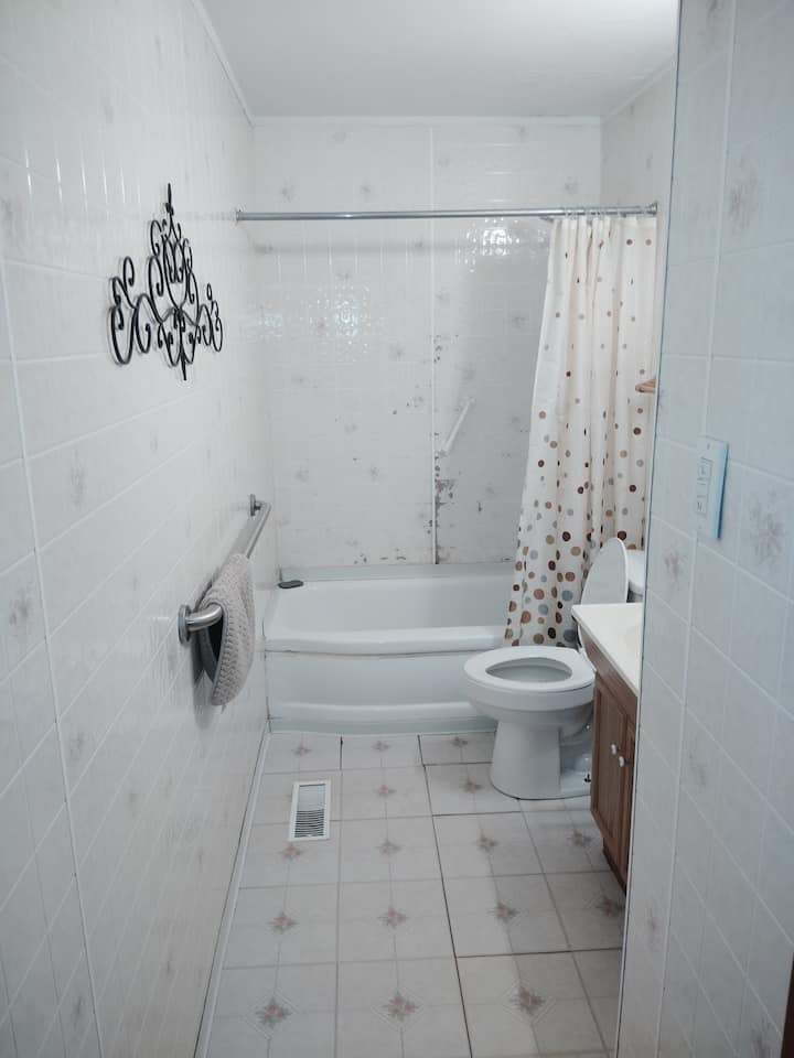 The Bare Necessities! - Dayton, OH