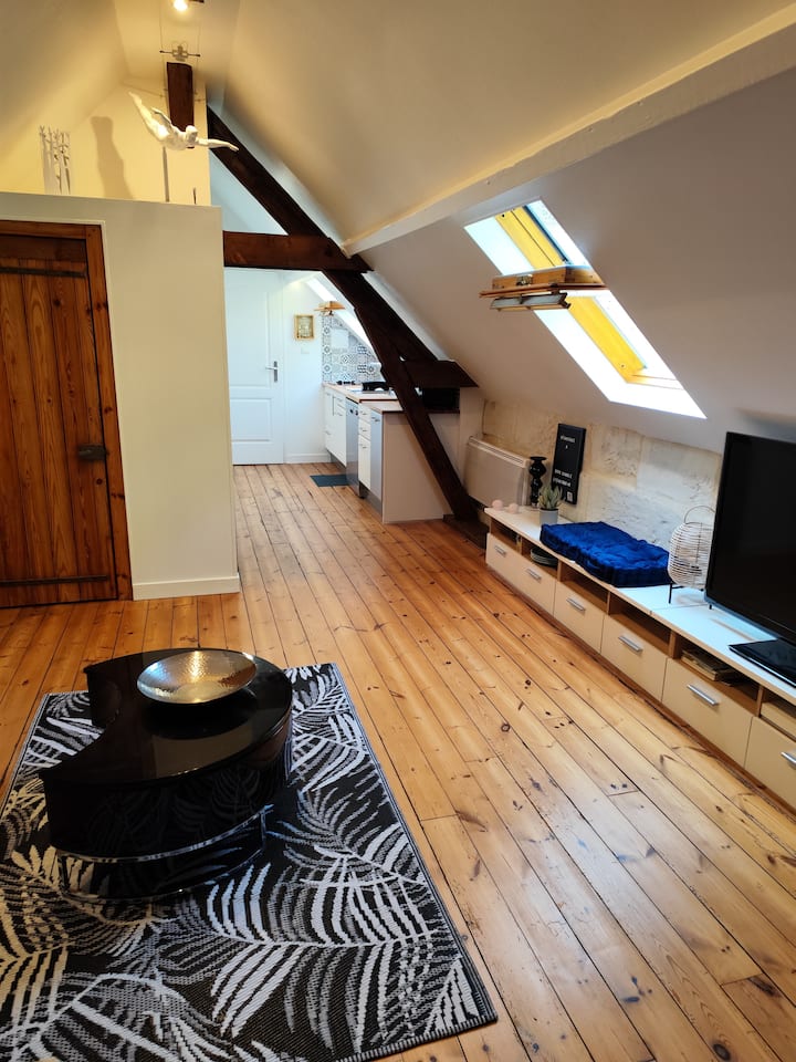 Le Saut Mur, T2, Tout à Pieds, Parking Gratuit - Saumur