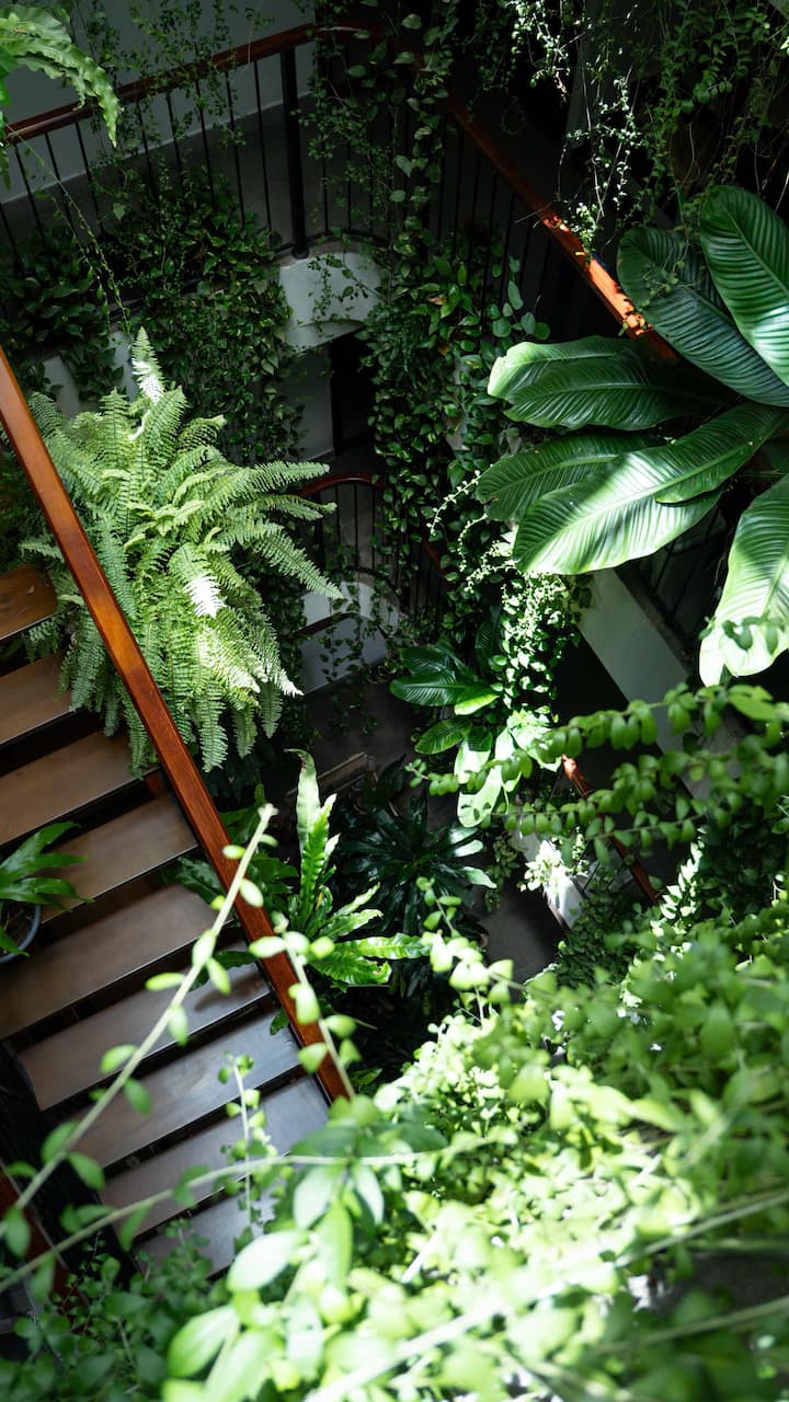 Standard Room For 01pax-downtown - 越南