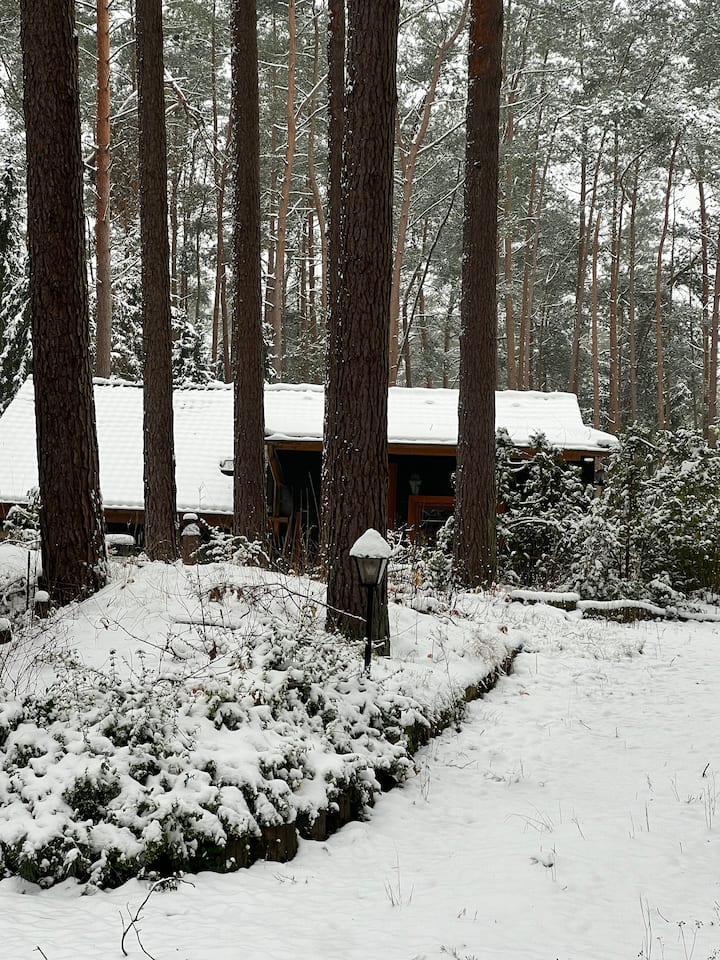 Ferienhaus "Taylors Allerhaus" - Winsen (Aller)