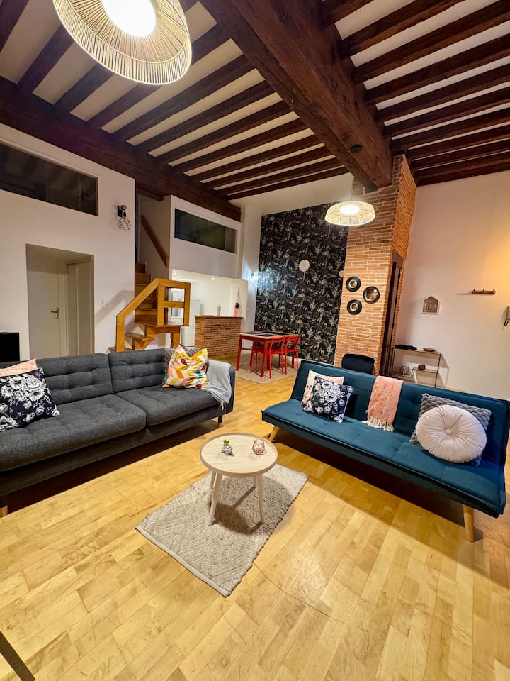 Loft Aux Carmes - Toulouse
