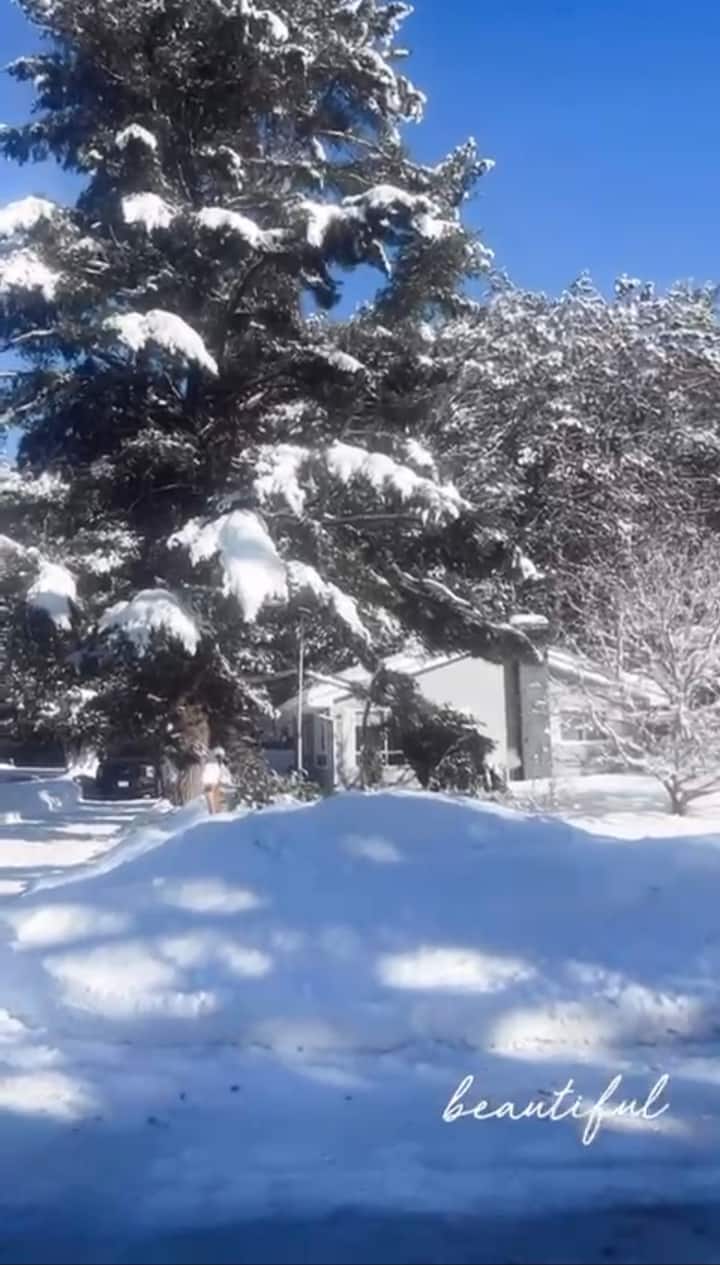 Santa’s Village On Muskoka River - 브레이스브릿지