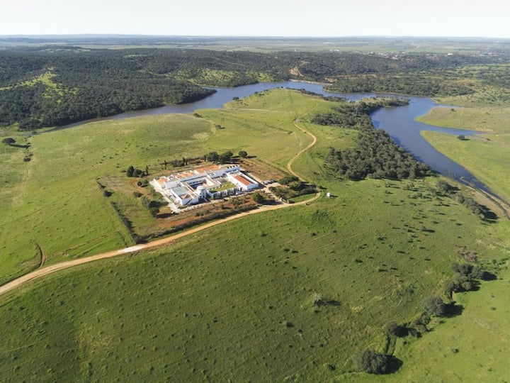 Luxury Villa In Alentejo | Olive Oil Estate Stay - レドンド