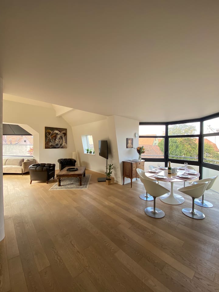 "Les Murmures Des Toits"/hypercentre/garage Privé - Colmar