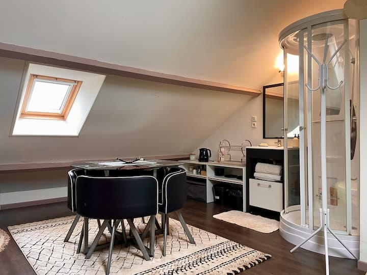 Studio Mansardé Dans Maison En Colocation - Marsannay-la-Côte