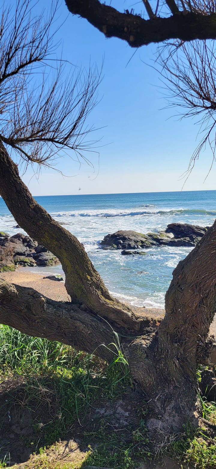 Maison Cœur La Chaume Classé 3  Meublé De Tourisme - Olonne-sur-Mer