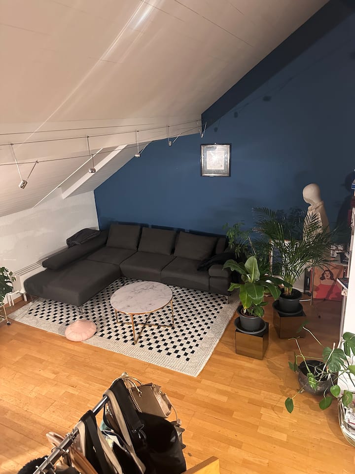 1- Bedroom Loft Style Apartment - Bern