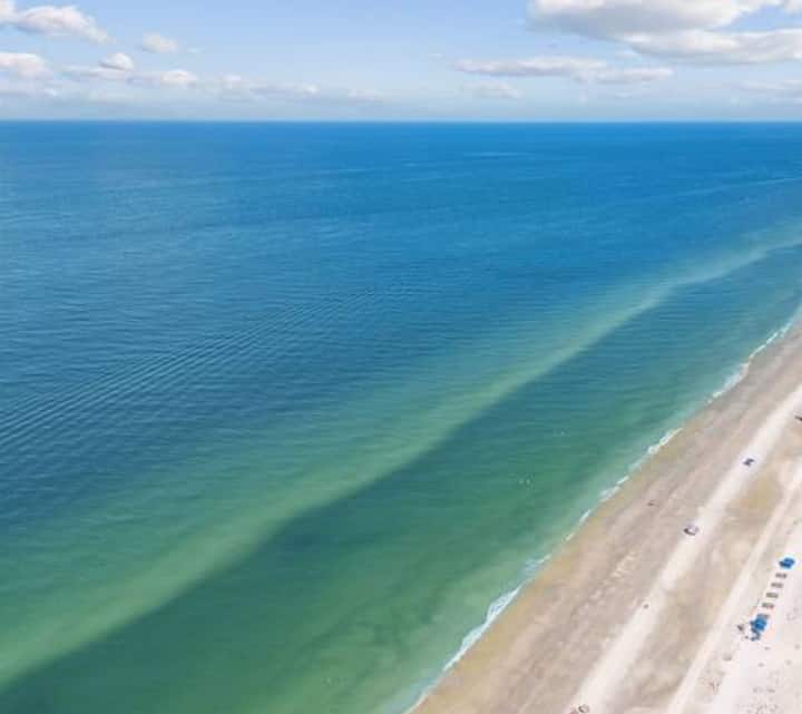 Watch Dolphins From The Windows - Private Beach - Indian Shores, FL