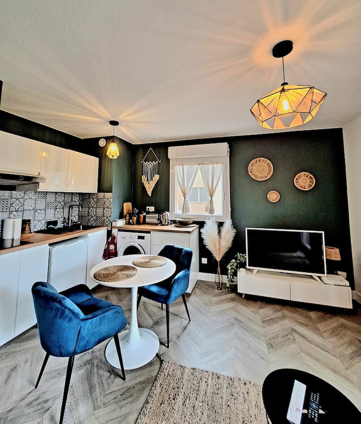 Charmant T2 Rénové, Wifi, Clinique St Roch, Tram - Montpellier