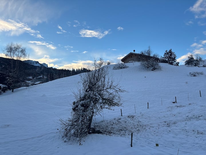 Bel Appartement Au Calme - Flaine