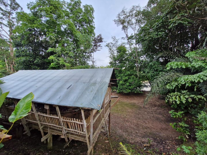 Riverside Camp - Kota Belud